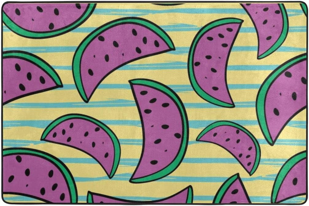 SKYSONIC Lightweight Soft Area Rugs Watermelon Punchy Pastel Colors ...