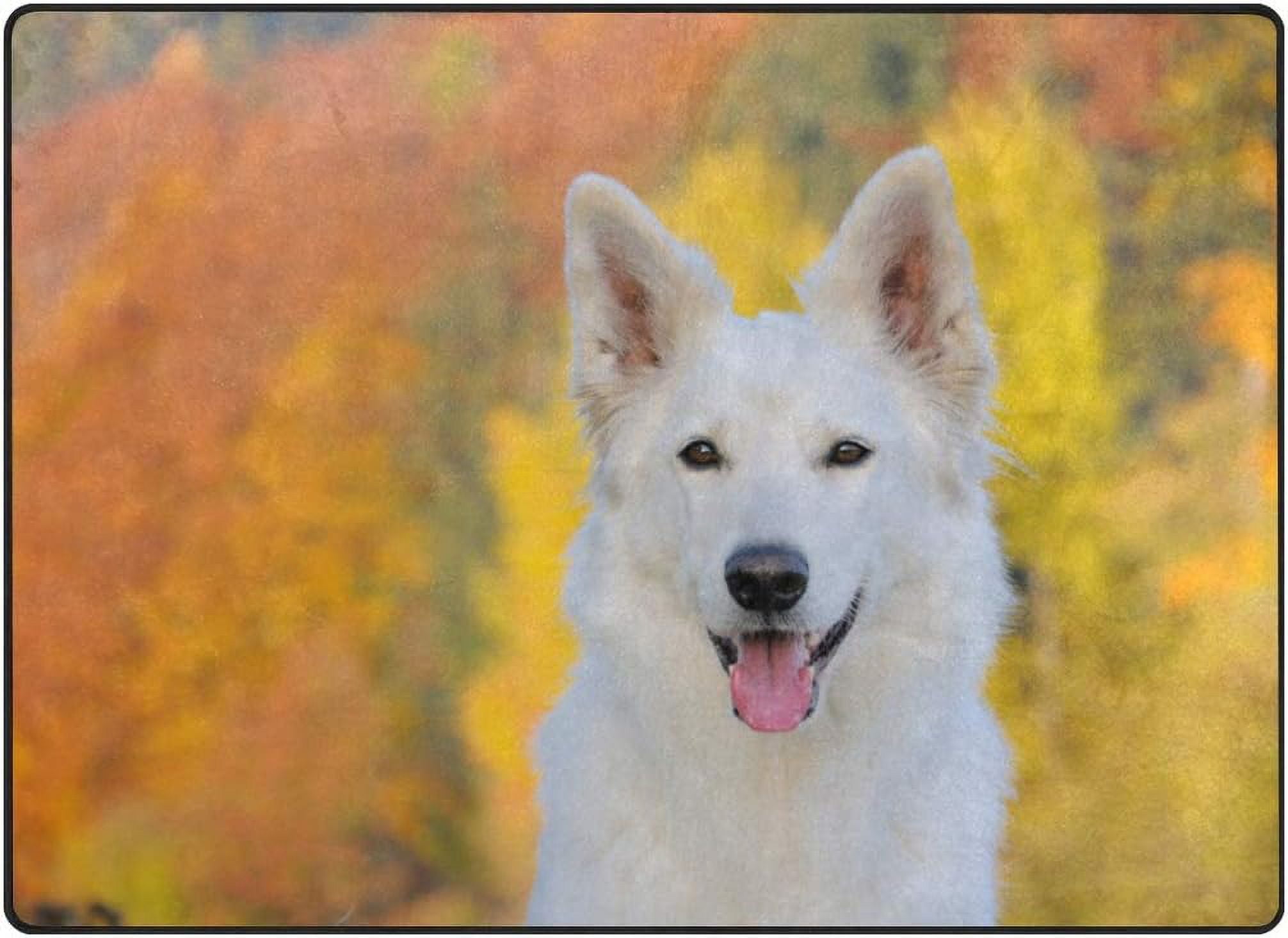 SKYSONIC Lightweight Soft Area Rugs White Swiss Shepherd Dog in Autumn ...