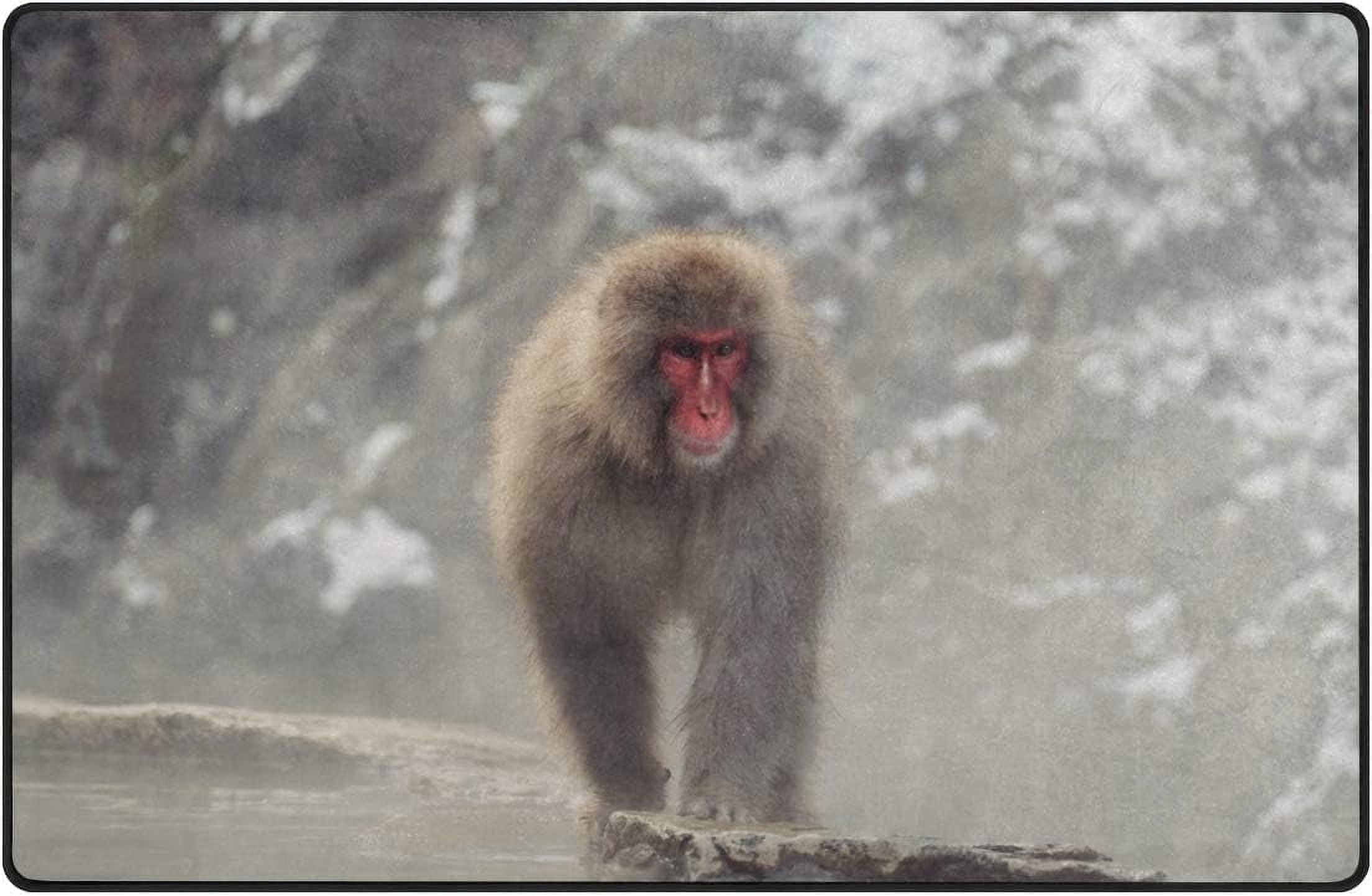 SKYSONIC Lightweight Soft Area Rugs Wild Monkey at Hot Spring Floor Mat ...