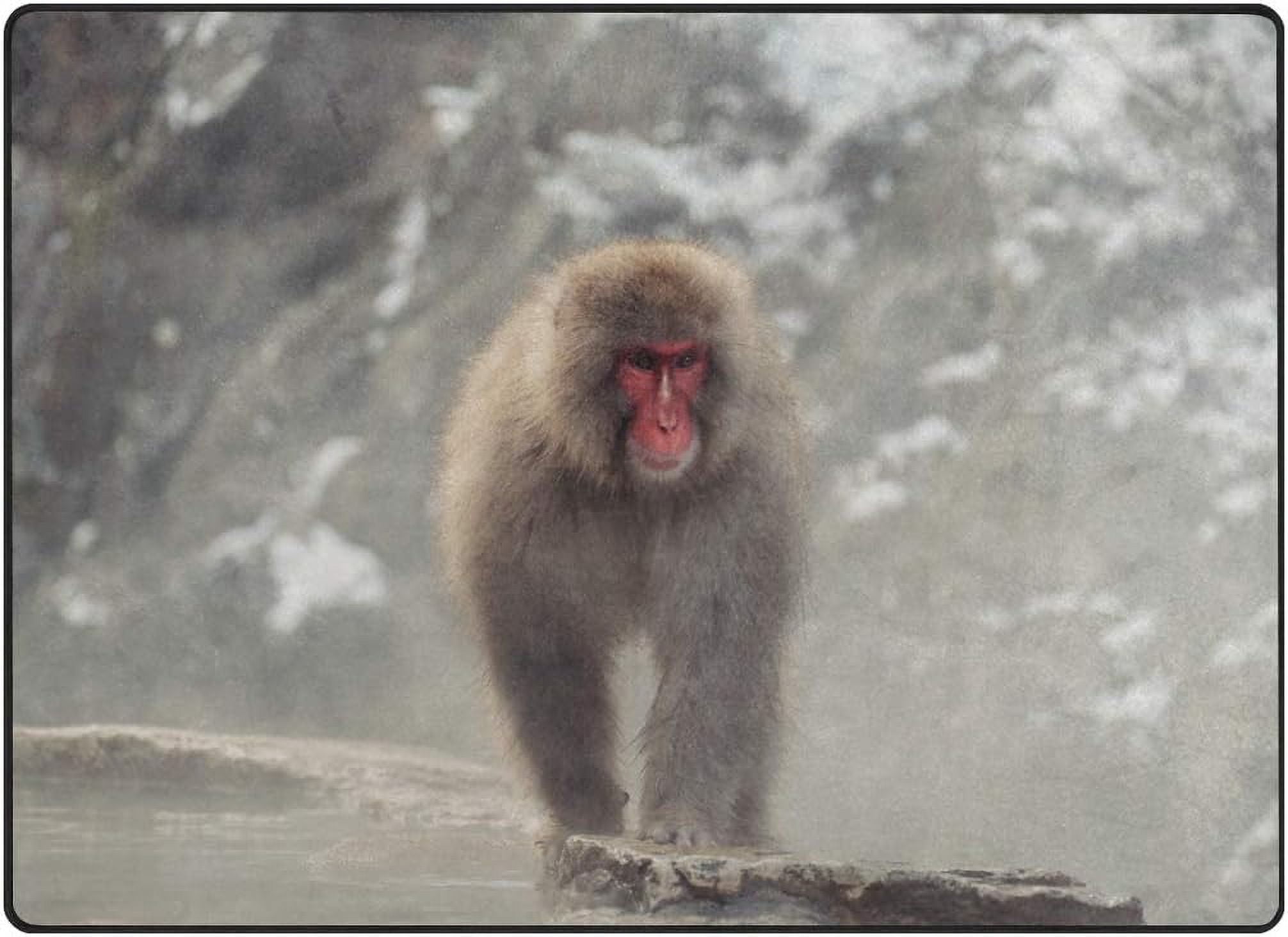 SKYSONIC Lightweight Soft Area Rugs Wild Monkey at Hot Spring Floor Mat ...