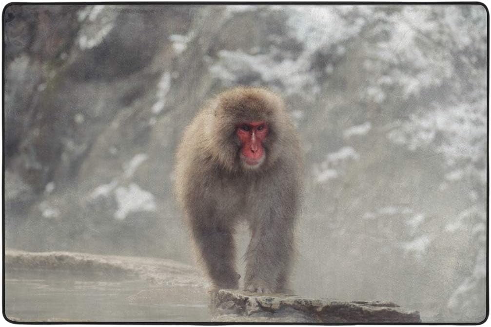 SKYSONIC Lightweight Soft Area Rugs Wild Monkey at Hot Spring Floor Mat ...