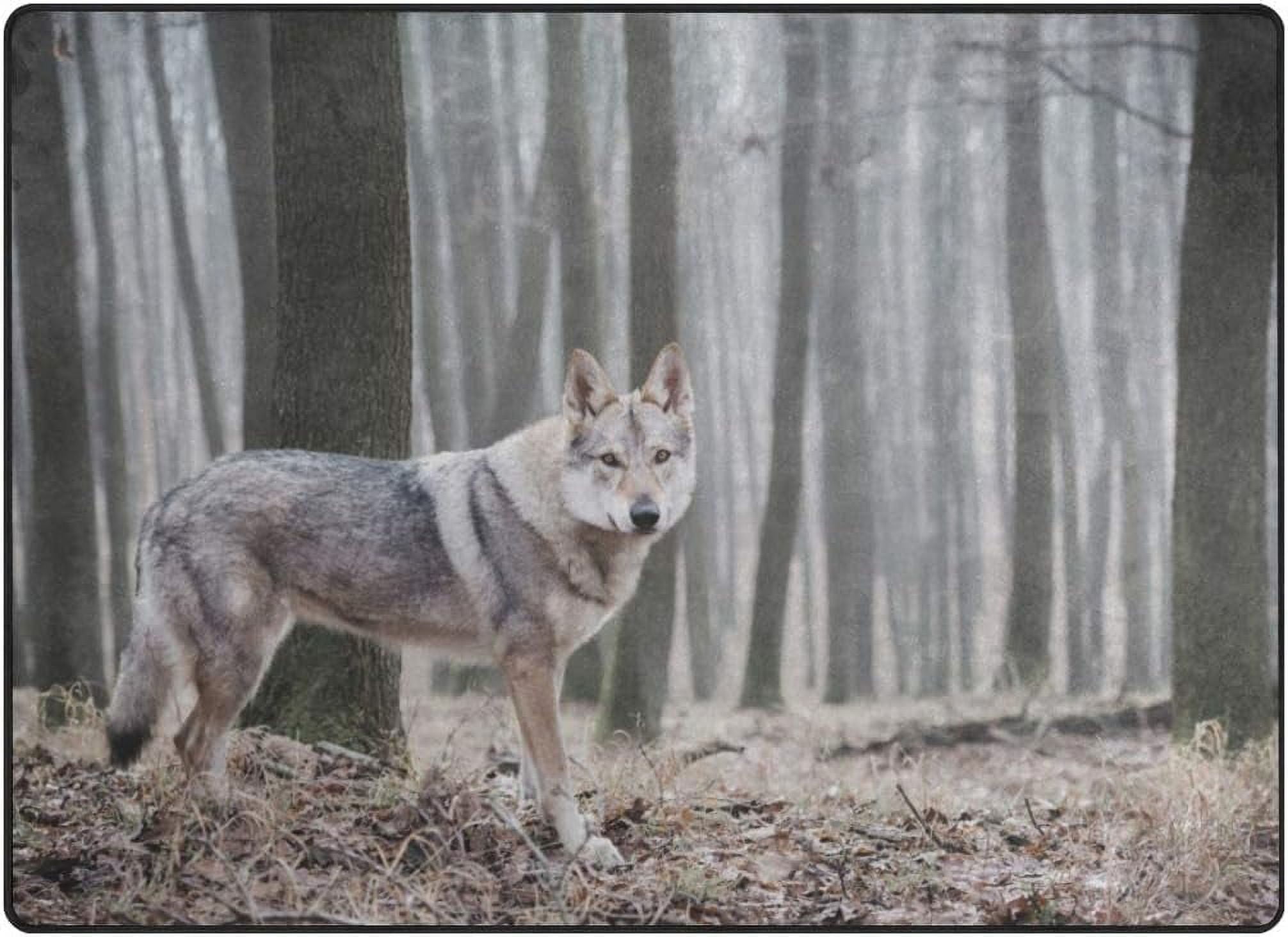 SKYSONIC Lightweight Soft Area Rugs Wolf On The Forest Floor Mat for ...