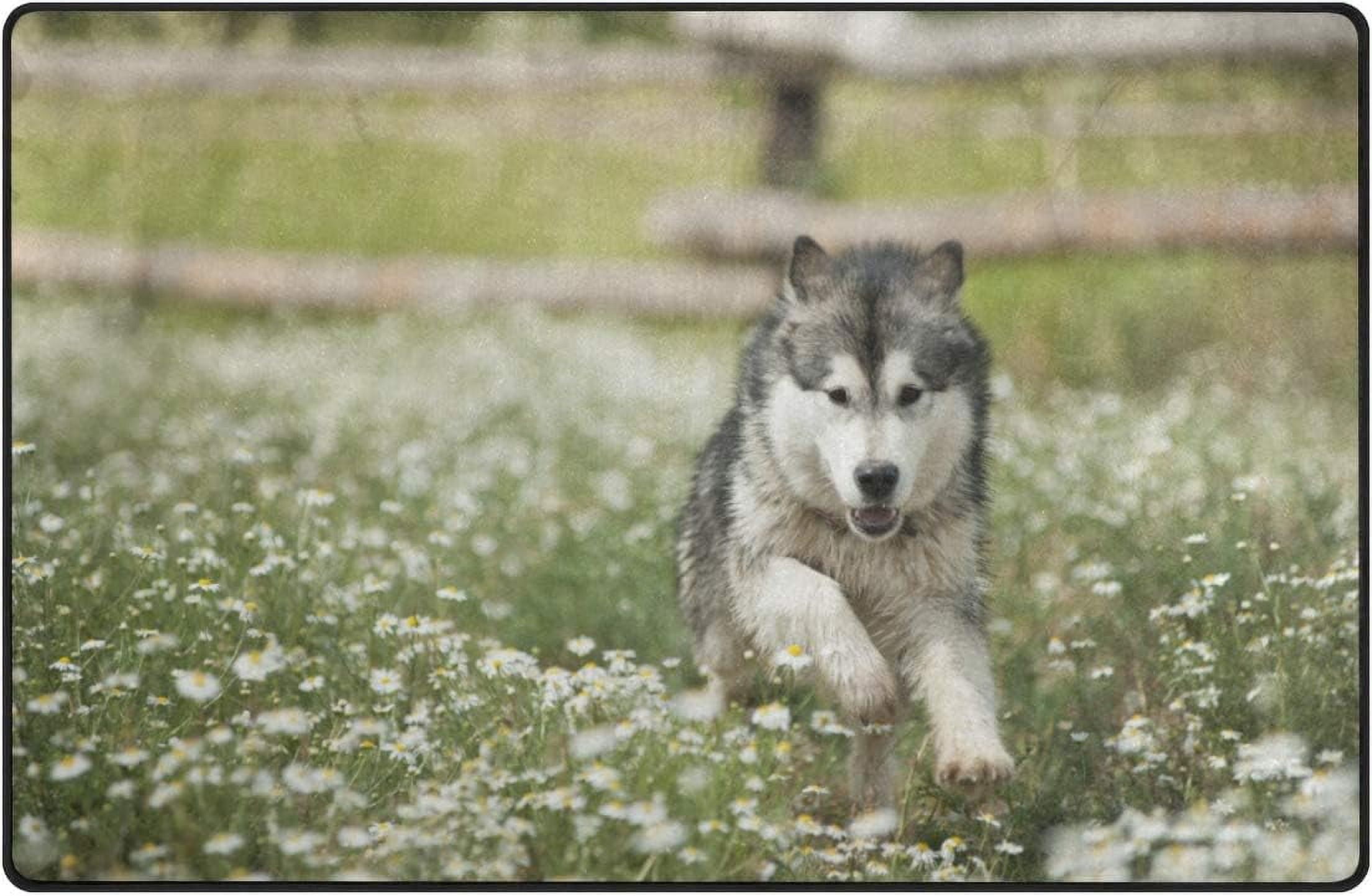 SKYSONIC Lightweight Soft Area Rugs Wolf Jumping Through The Flower ...
