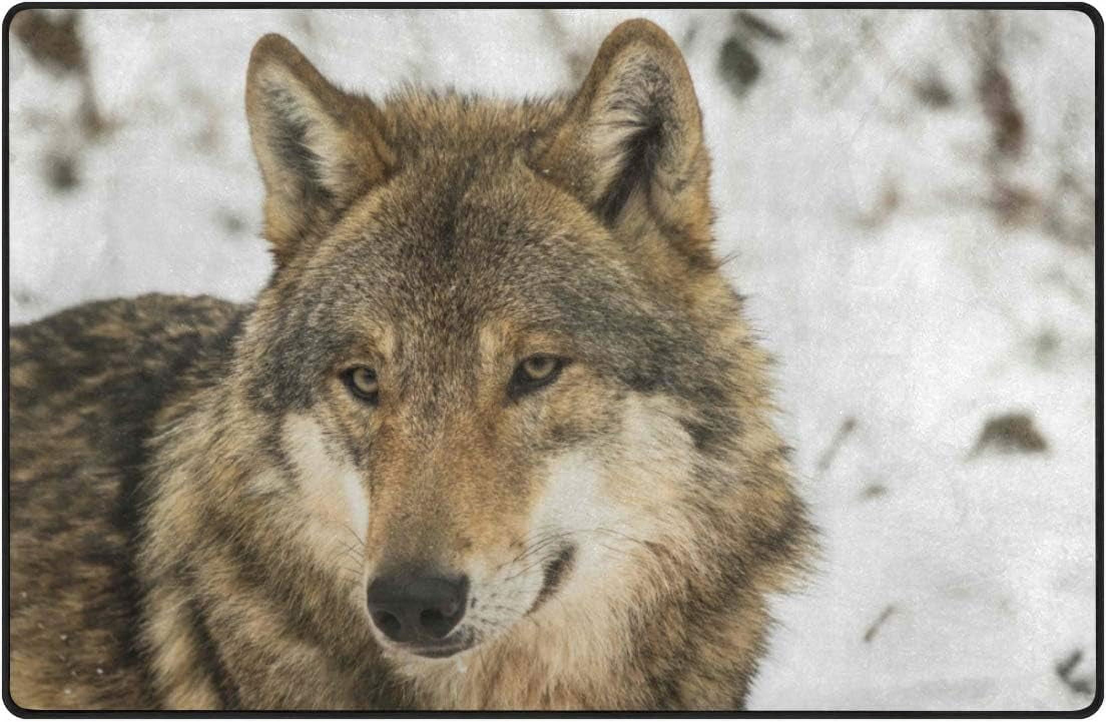 SKYSONIC Lightweight Soft Area Rugs Wolf On The Snowy Outside Floor Mat ...