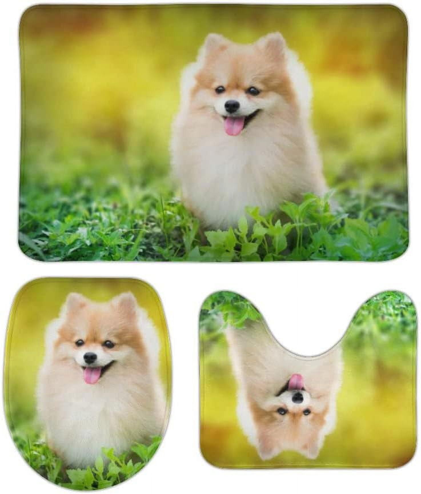 SKYSONIC Non-Slip 3 Piece Bathroom Rug Set Cute Pomeranian Dog Sitting ...