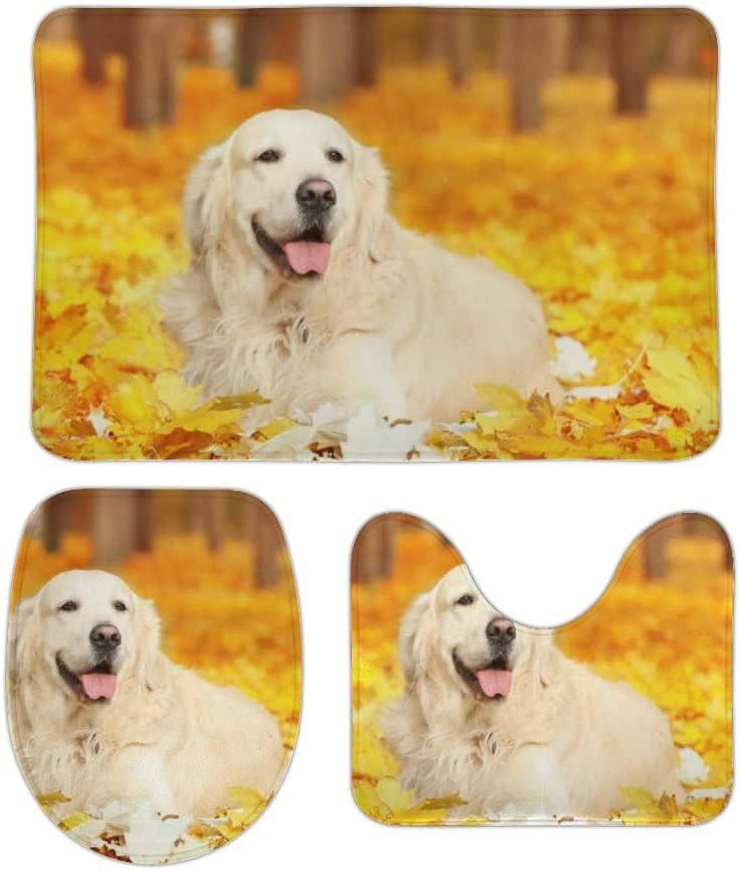 SKYSONIC Non-Slip 3 Piece Bathroom Rug Set Funny Labrador Retriever in ...