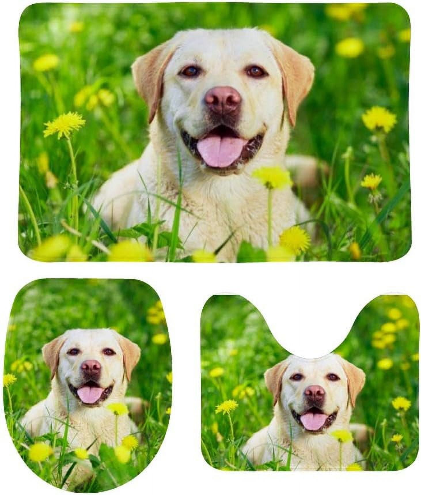 SKYSONIC Non-Slip 3 Piece Bathroom Rug Set Labrador Retriever Dog Soft ...