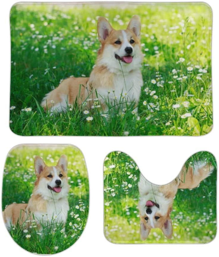 SKYSONIC Non-Slip 3 Piece Bathroom Rug Set Pembroke Welsh Corgi on ...