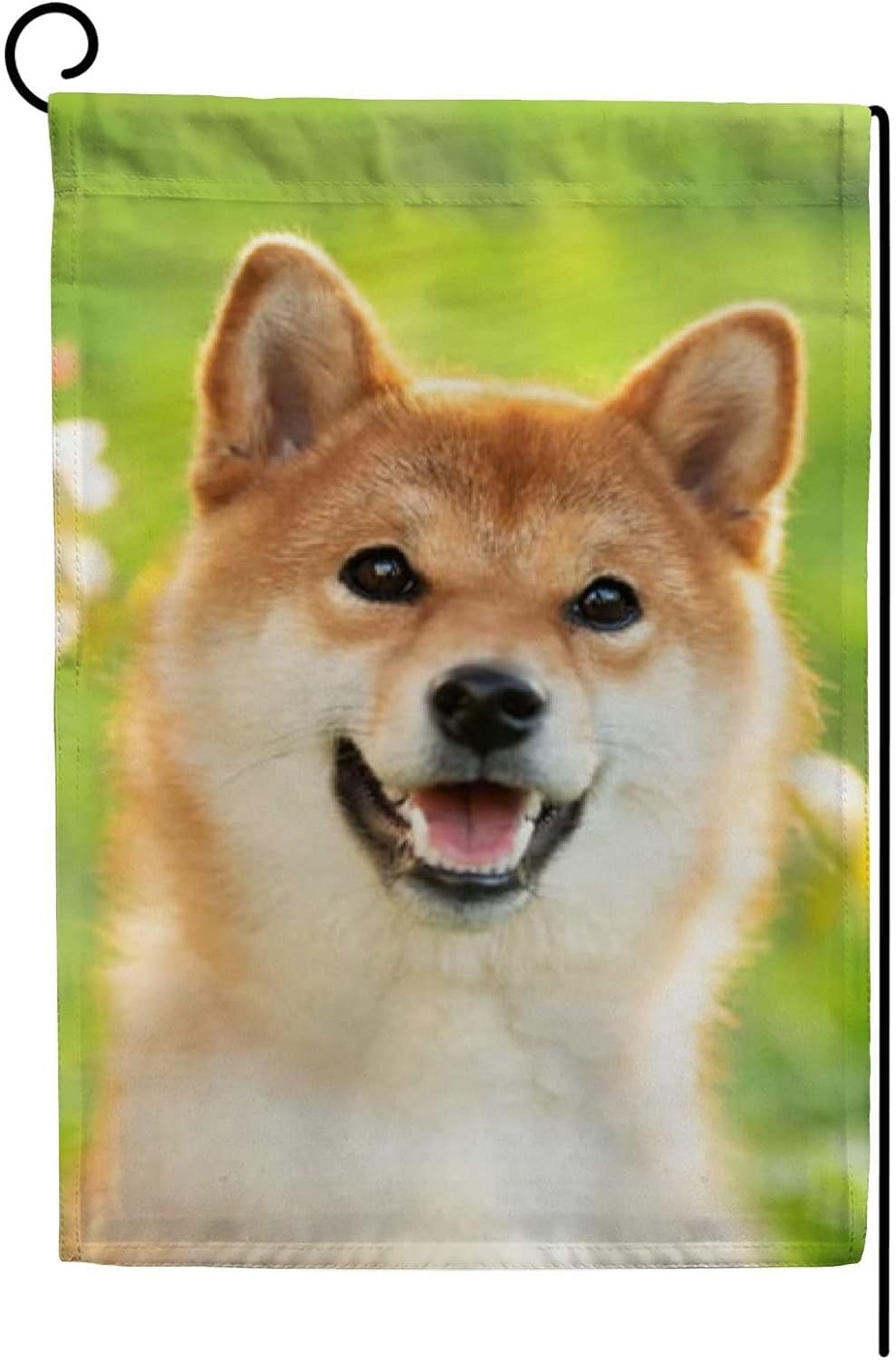 SKYSONIC Portrait of Happy Shiba Inu Dog Sitting in Summer Double-Sided ...