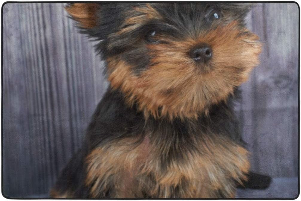 SKYSONIC Puppy of Yorkshire Terrier Area Rug Carpet for Living Room ...