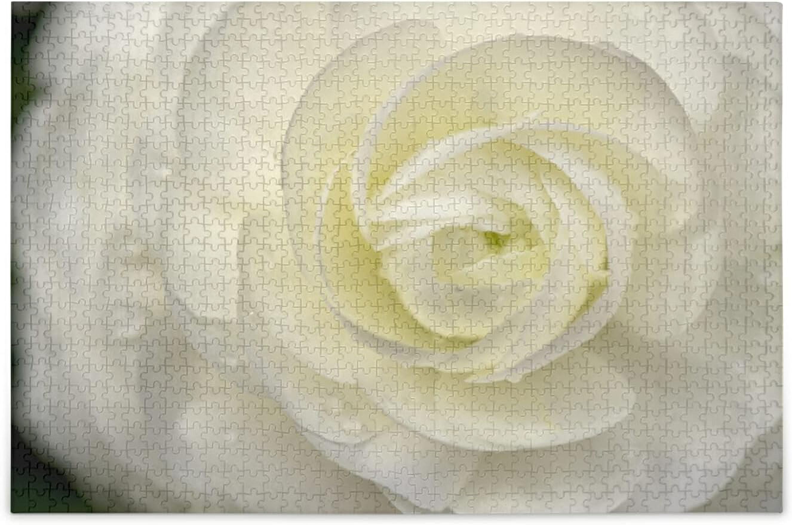 SKYSONIC Pure White Rose Jigsaw Puzzles for Adults 500 Piece ...