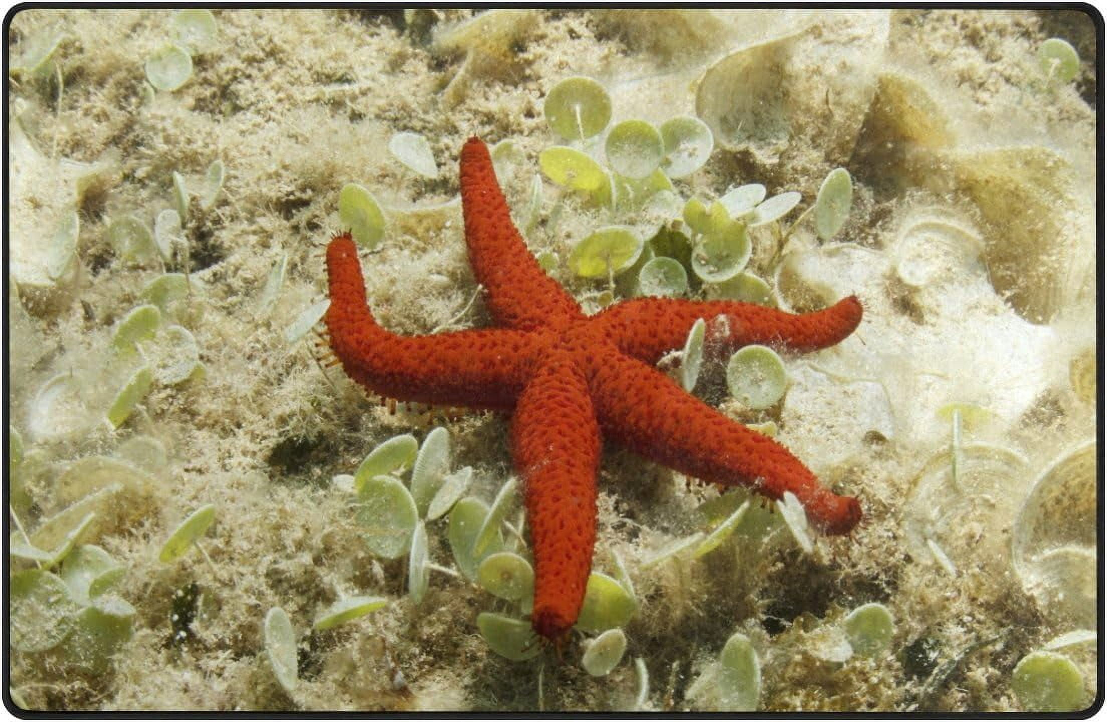SKYSONIC Red Starfish Area Rug Pad 60x39 inch, 100% Light Weight ...