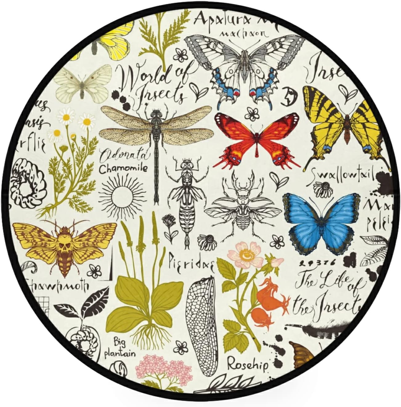 SKYSONIC Retro Colorful Butterflies Beetles Herbs Round Area Rug Chair ...