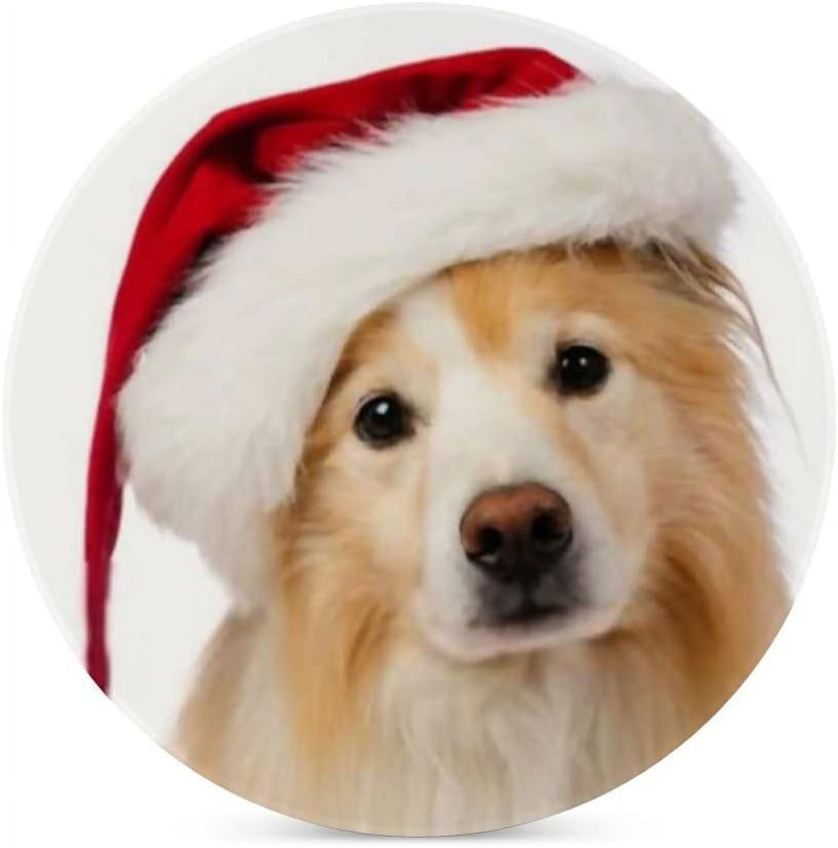 SKYSONIC Round Drink Coasters 2 Pcs Dog with Red and White Santa Hat ...