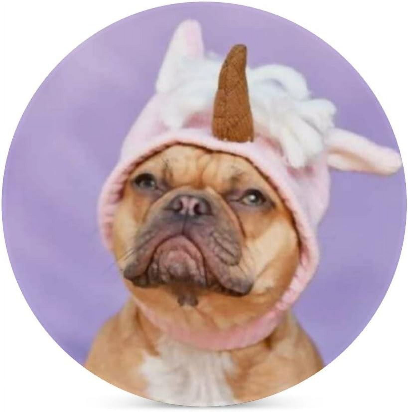 SKYSONIC Round Drink Coasters 2 Pcs French Bulldog Dog Wearing Unicorn ...