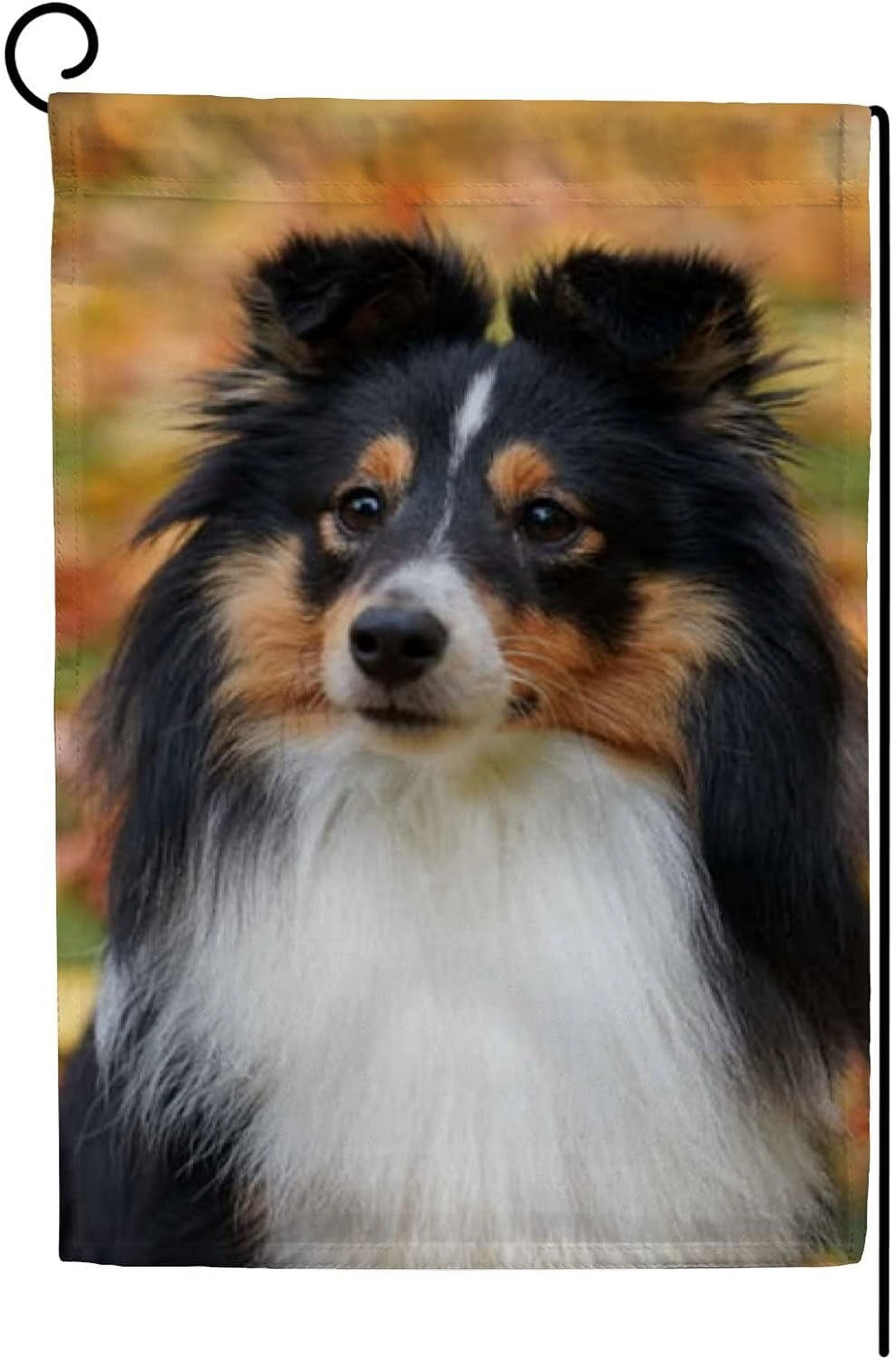 SKYSONIC Shetland Sheepdog Sitting in Autumn Leaves Double-Sided ...