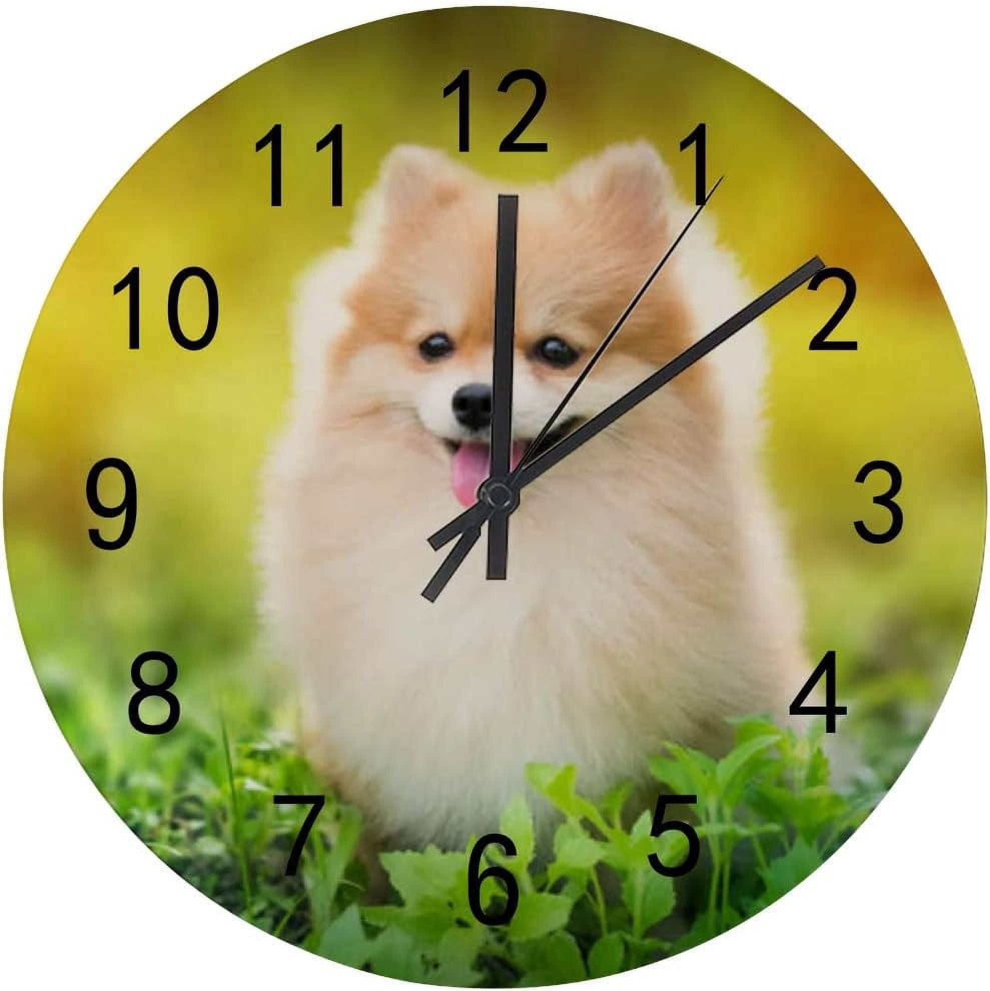 SKYSONIC Silent Wooden Round Wall Clock Cute Pomeranian Dog Sitting in ...
