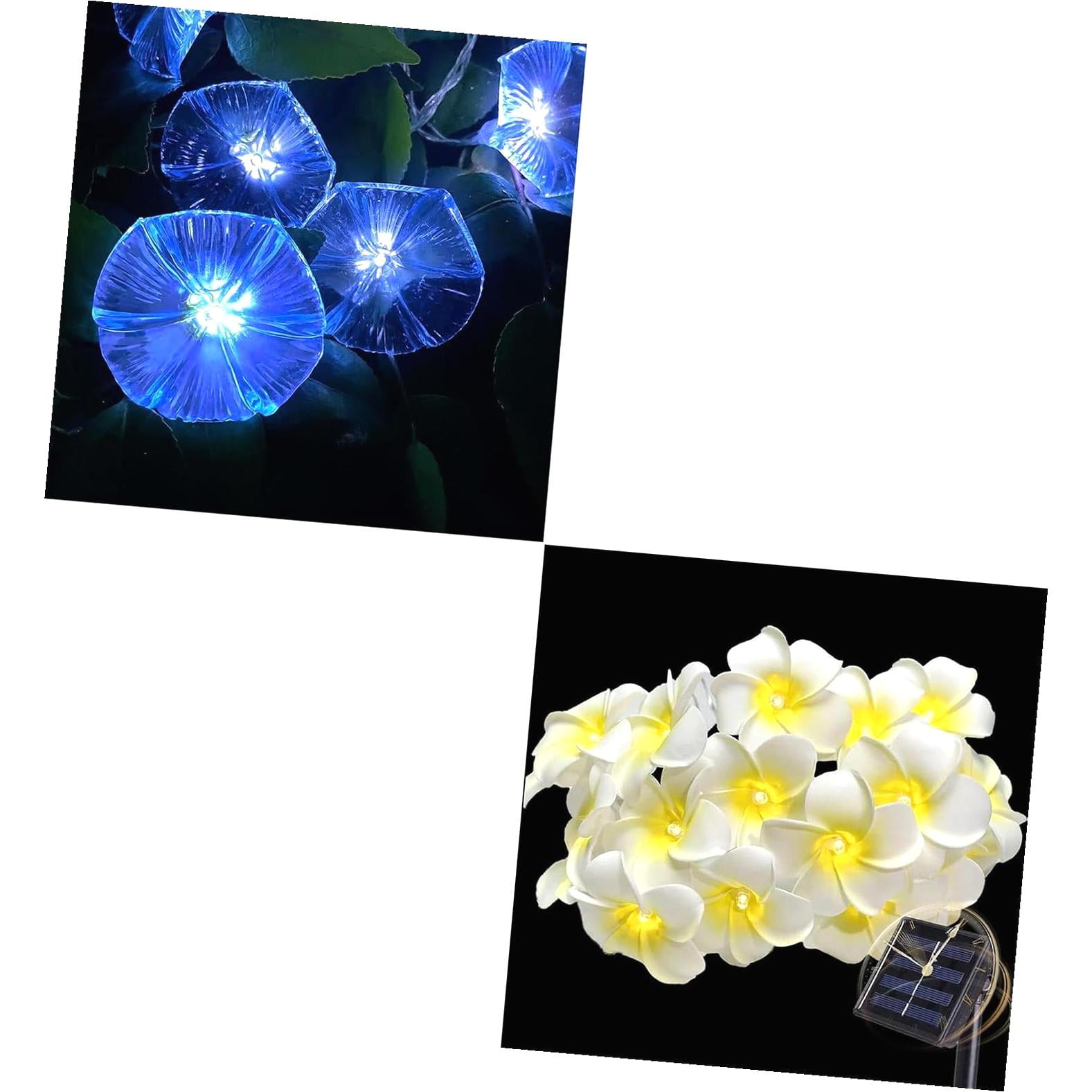 SKYSONIC Solar Petunia Blue Flowers and Solar Hawaiian Frangipani ...