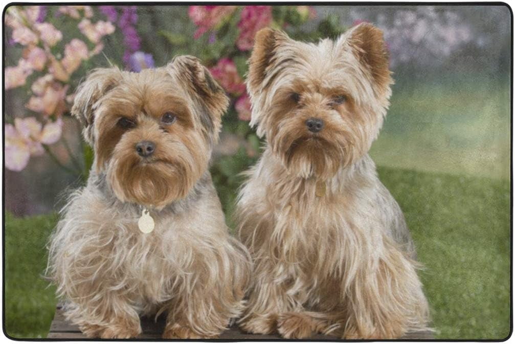 SKYSONIC Two Yorkshire Terrier Dogs Area Rug Carpet for Living Room ...