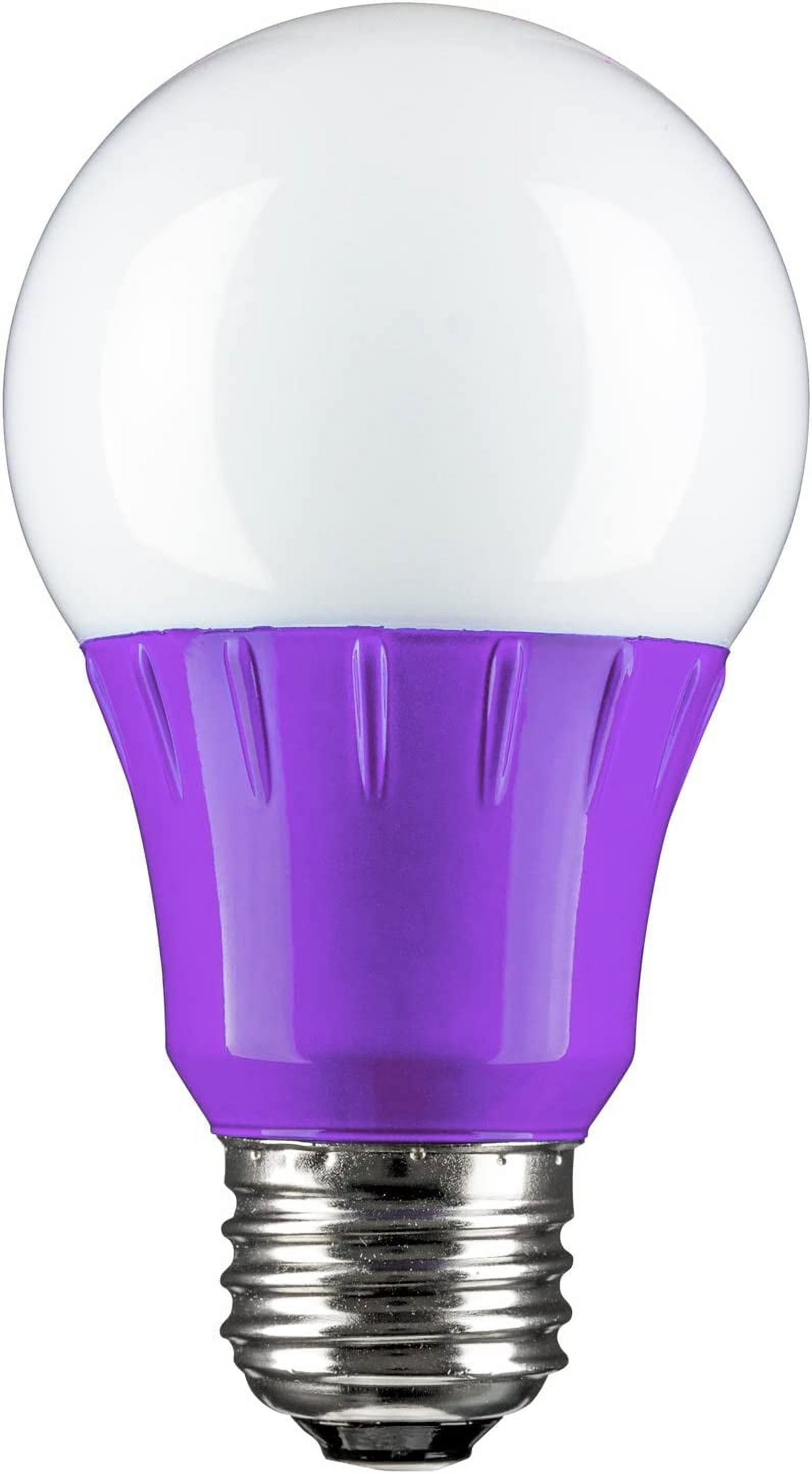 FGERFE-80132-SU LED A19 Standard a Type Light Bulb, 2 Pack, Purple ...
