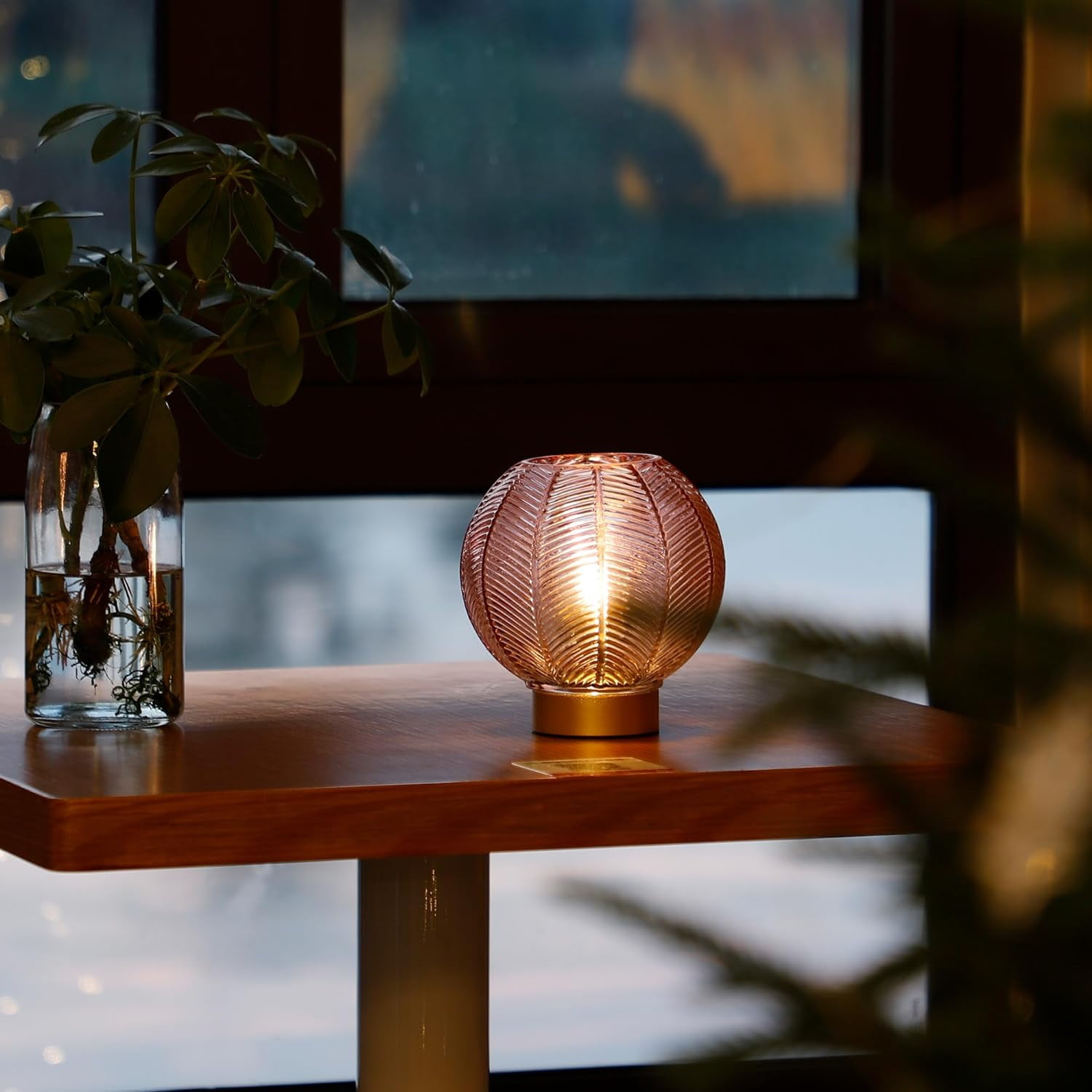 SLFS-Battery Powered Lamp, Cordless Table Lamps Battery Operated Lamp ...
