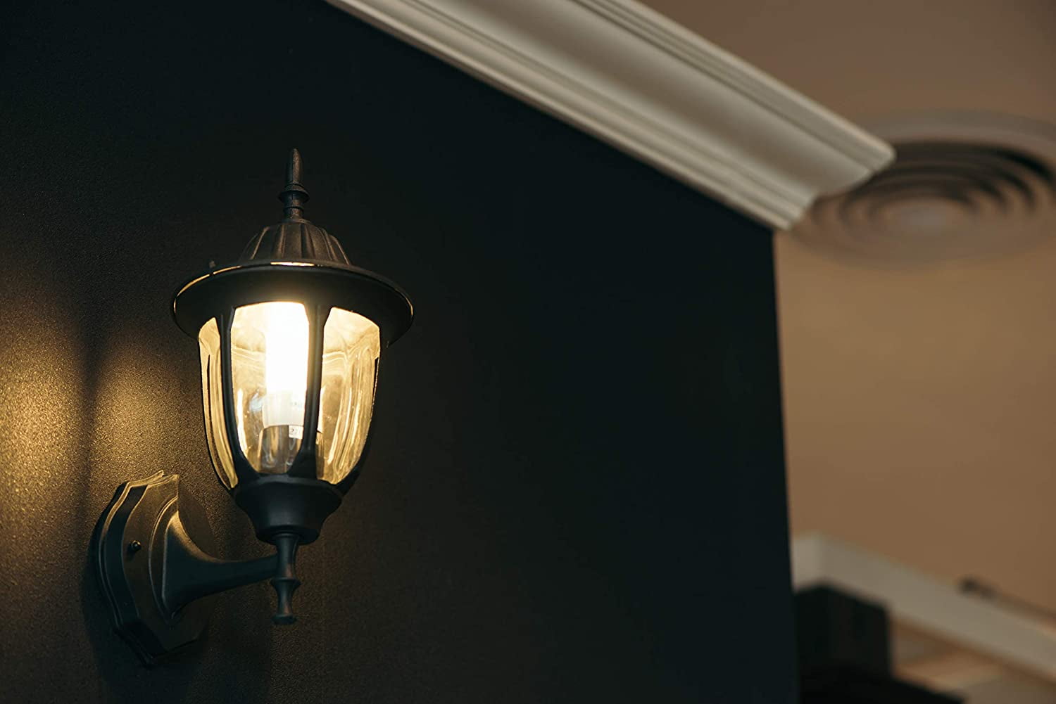SLFS-MiracleLED 604589 Dark Sky 3W Low Profile Bulb (2-Pack), Amber ...