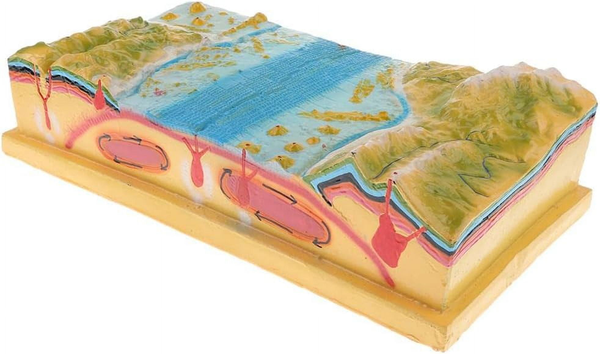 SLGHLSAHG Plate Tectonics Equipment Model Geology Science Teaching Aids ...