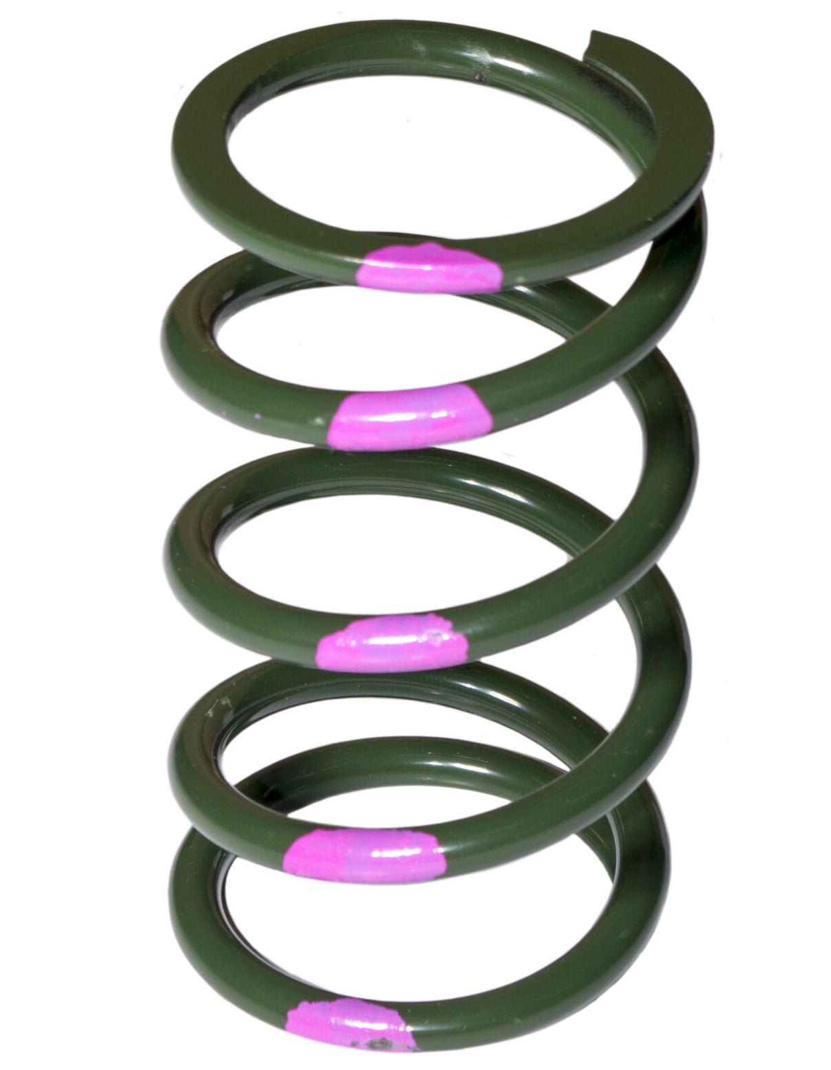 SLP High-Performance Drive Clutch Spring 160 lb - 340 lb Green/Pink (40 ...