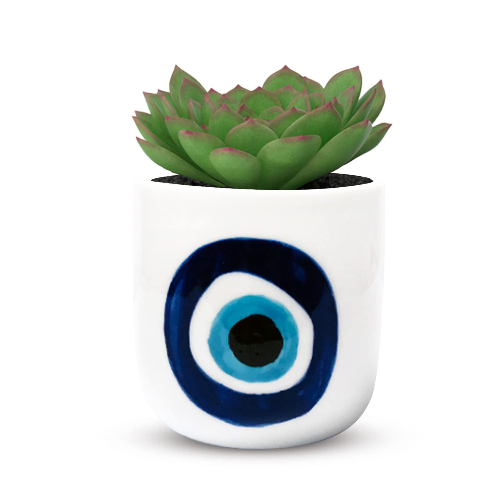 SLS SUPPLY FLORA - Modern Table Top Planter, Small Plant Pot for Home ...