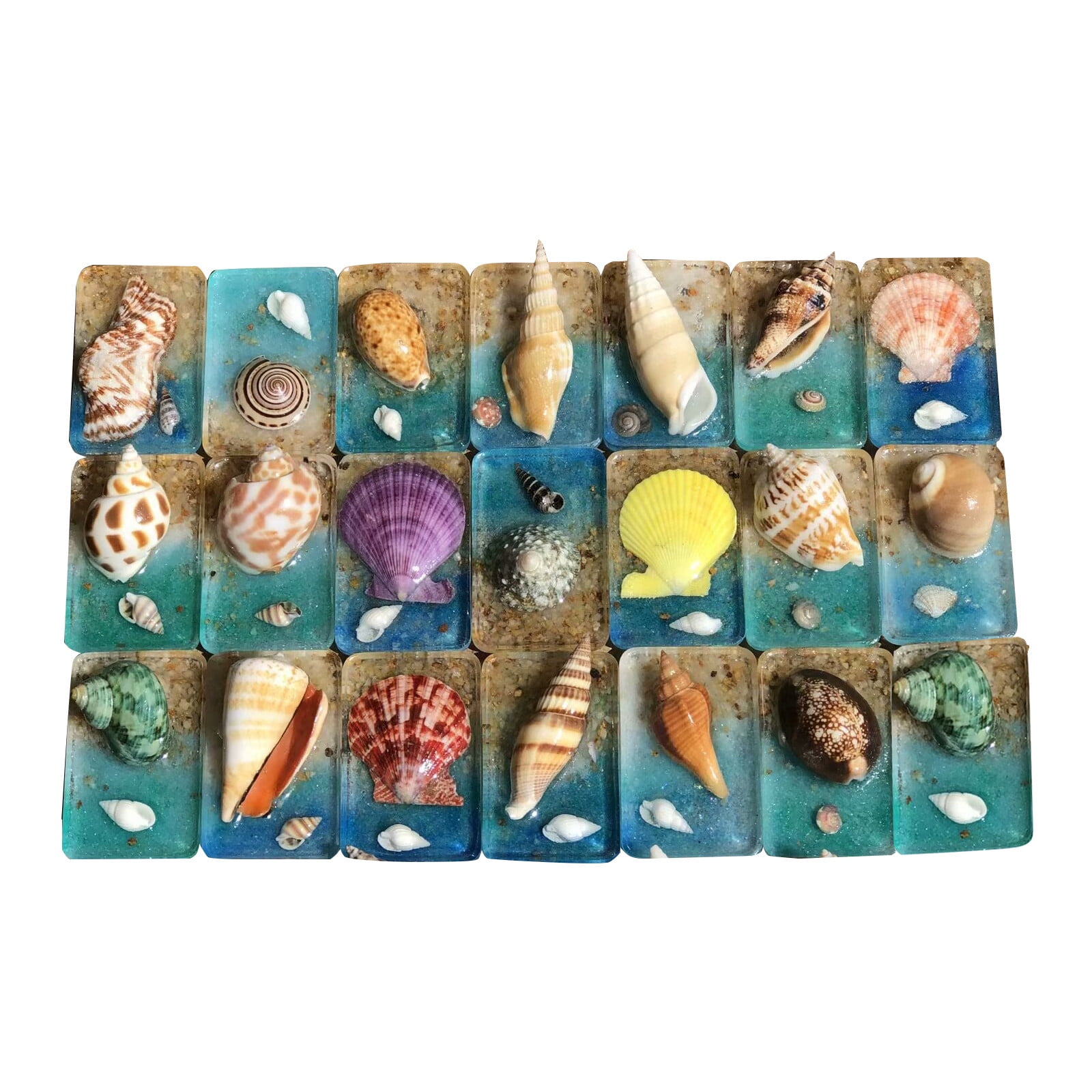SLYNSHome Refrigerator Magnet,Seashells Magnetic Fridge Sticker ...