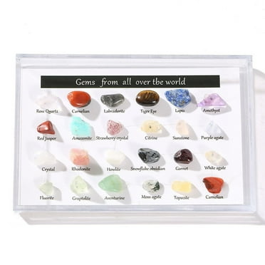 DANCING BEAR Rock & Mineral Collection Kit (200+Pcs) with Geodes, Gems ...
