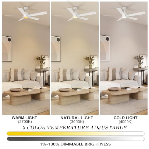SMAAIR Smart Ceiling Fan with Light, 60inch Indoor and Outdoor ceiling ...
