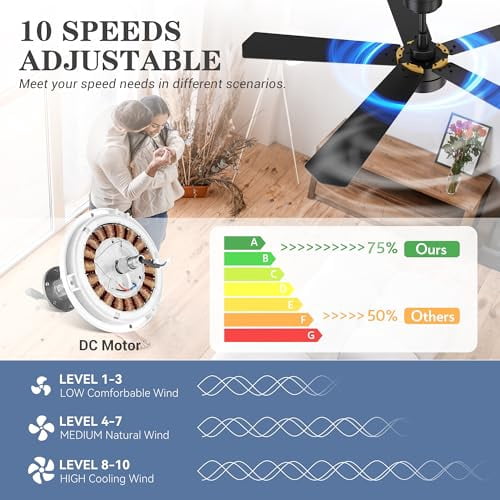 SMAAIR Smart Ceiling Fans with Lights and Remote, 52 Inch Modern ...