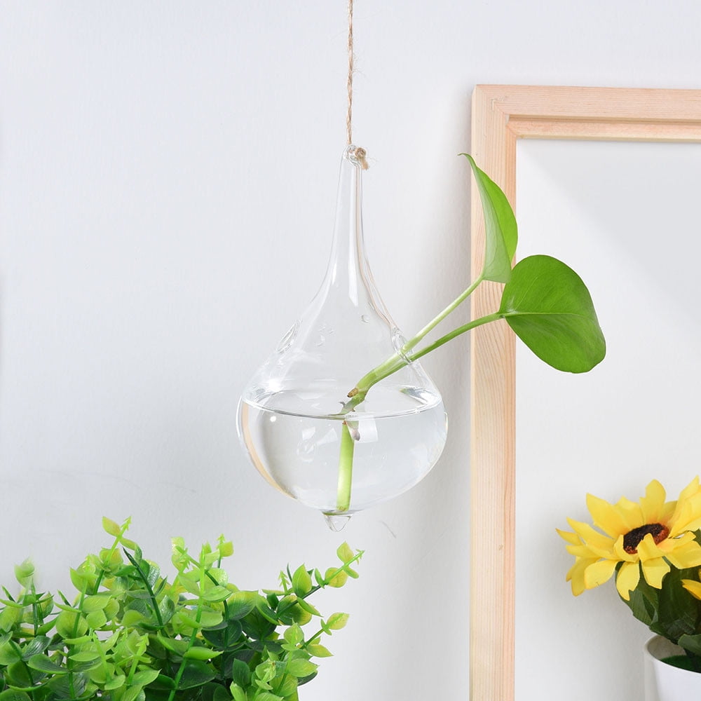 SMKE Hanging Planter,Hydroponics Plants,Plant Pots, Home Indoor Window ...
