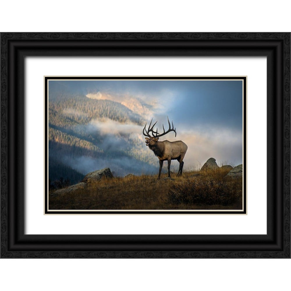 SMO 18x13 Black Ornate Wood Framed with Double Matting Museum Art Print ...