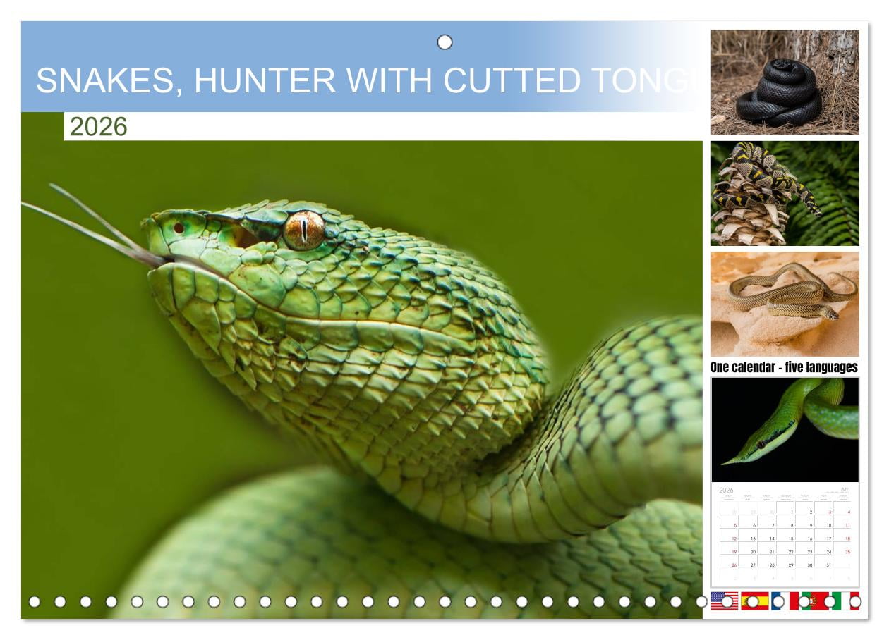SNAKES, HUNTER WITH CUTTED TONGUE (Monthly Wall Calendar 2026 16.5 x 23 ...