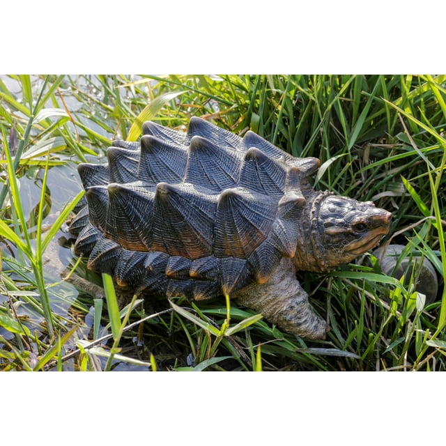 Hi-Line Gift Ltd 87658 Snapping Turtle Statue - Walmart.com
