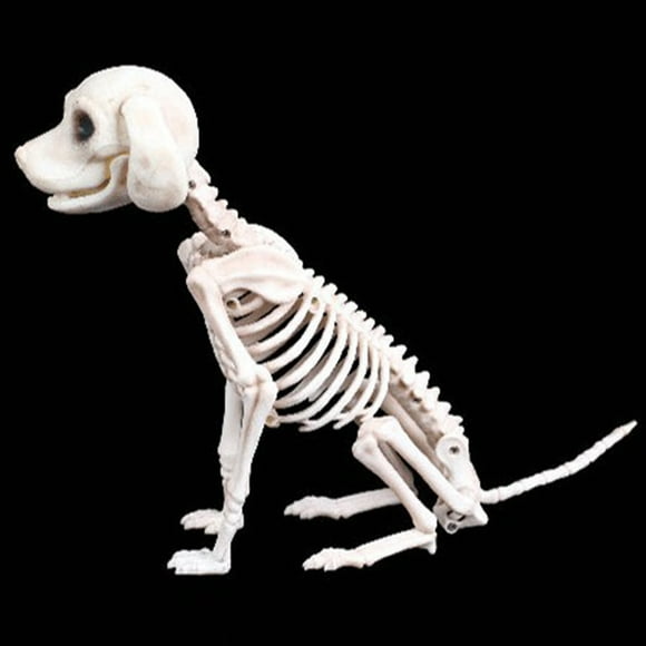 Dog Skeleton Halloween Decoration