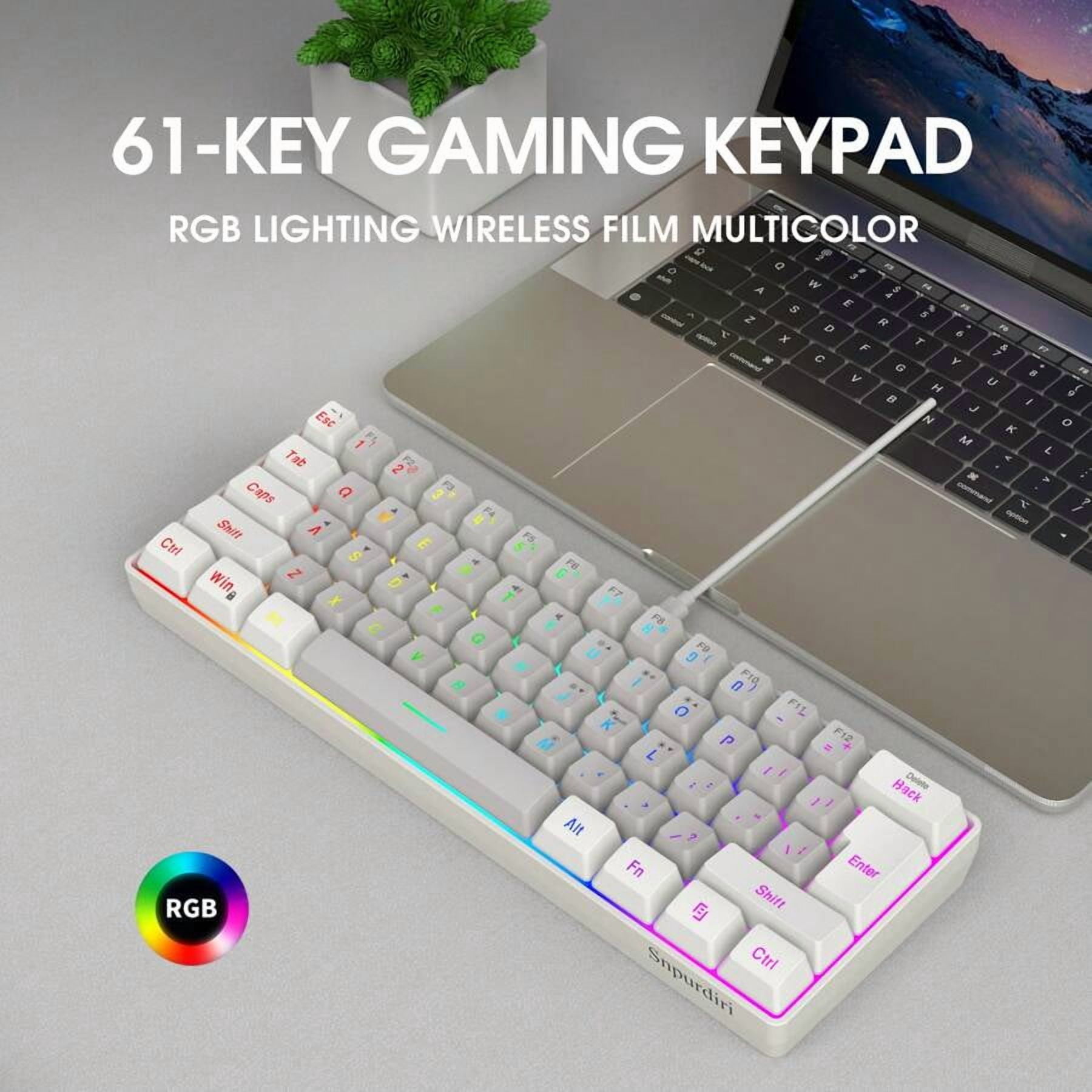 SNPURDIRI Gray And White RGB Illuminated ABS Cable Keyboard, Two-Color ...
