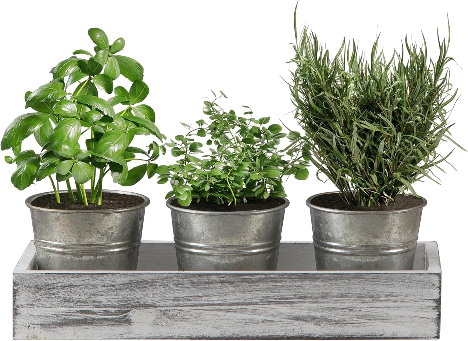 SOFE Herb Garden Planter Indoor, Windowsill Metal Planter Set of 3 with ...