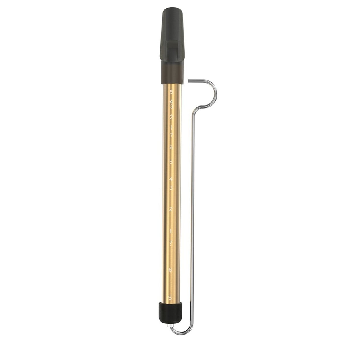 SOFEIYA Metal Professional Slide Whistle Flute With Scale Classic ...