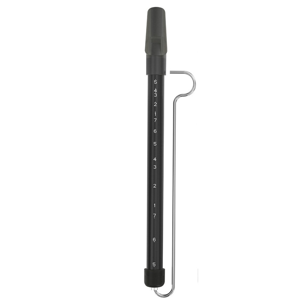 SOFEIYA Metal Professional Slide Whistle Flute With Scale Classic ...