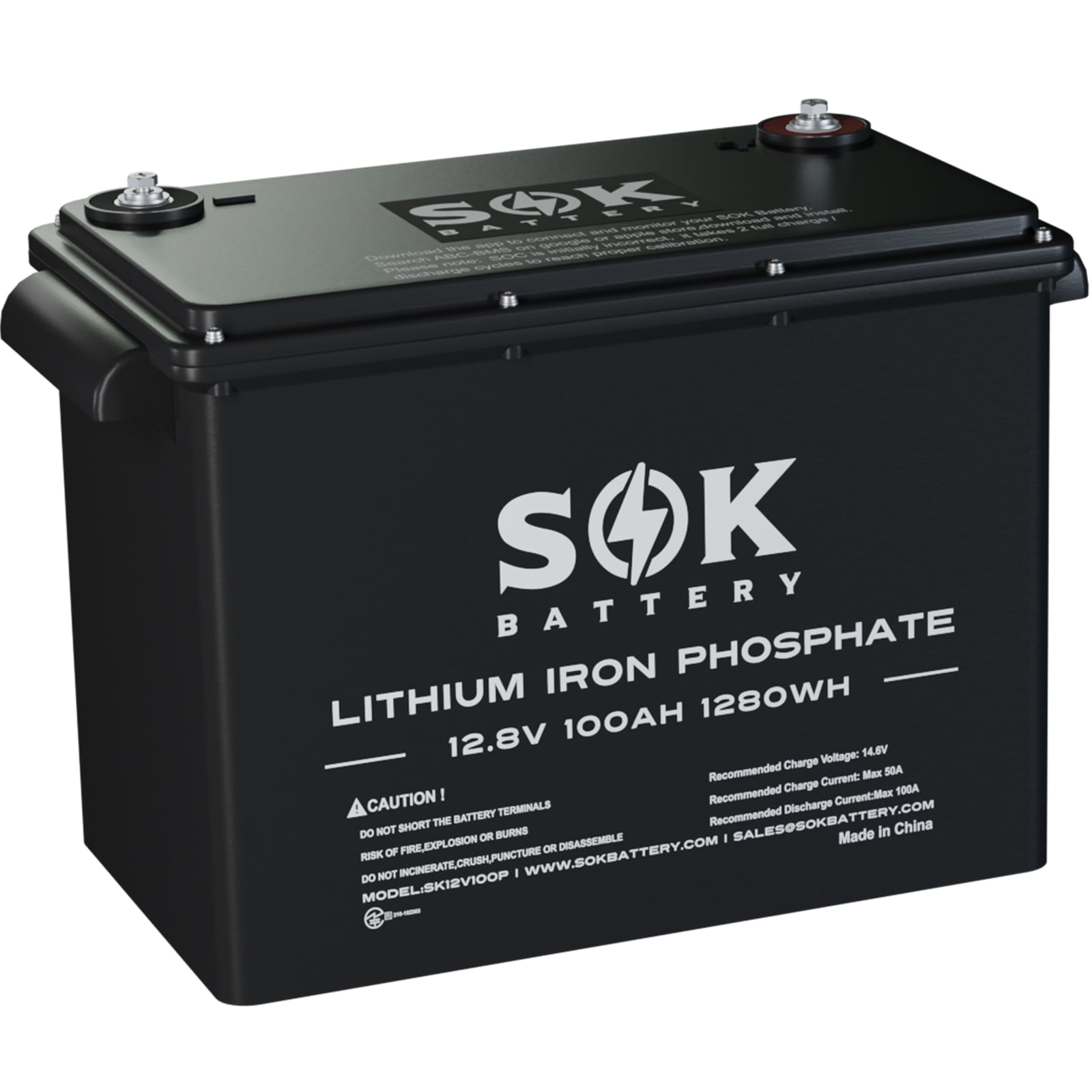 SOK Lifepo4 Battery 12V 100AH Lithium Battery, 4000~8000 cycles V8 ...