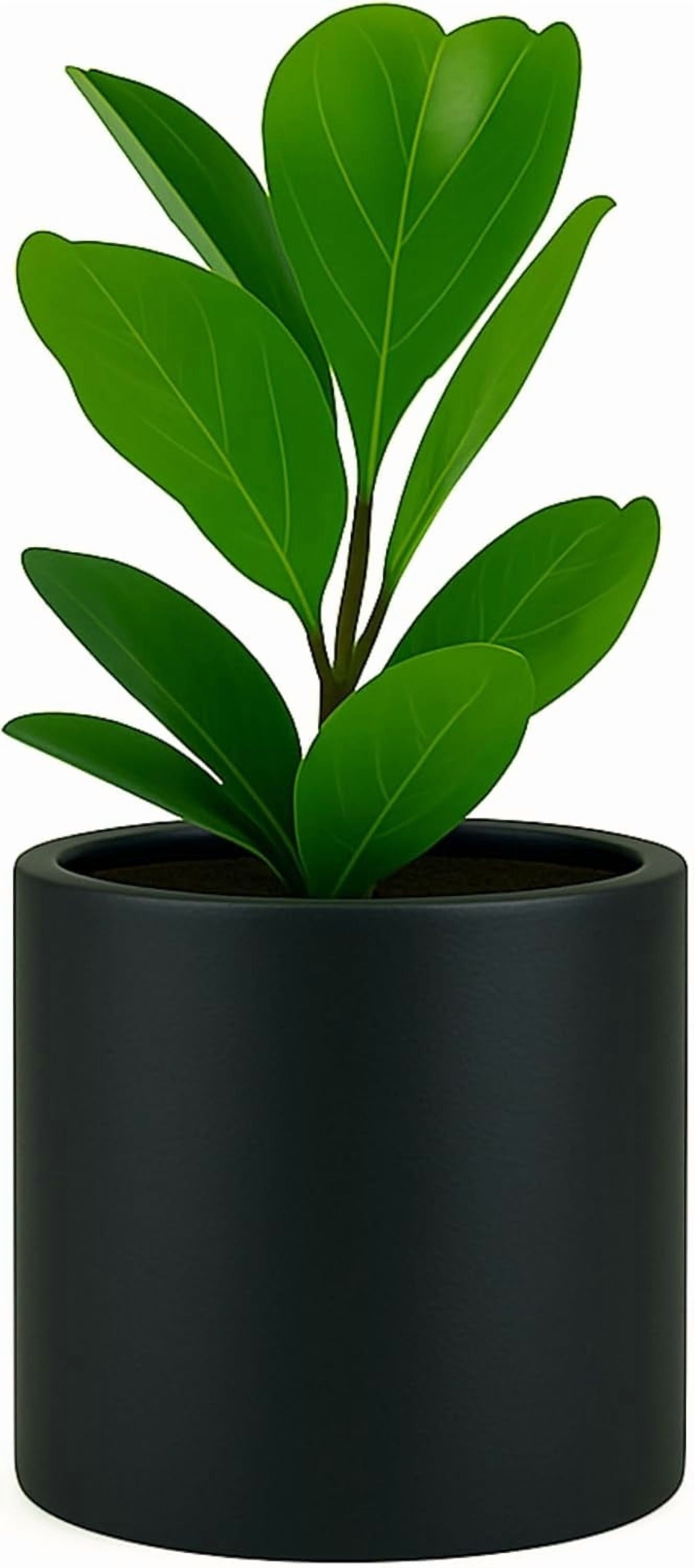 SOMOR 10 Inch Black Plant Pot with Drainage Plug — Premium Lightweight ...