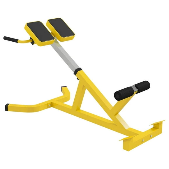 Back Extension Machine