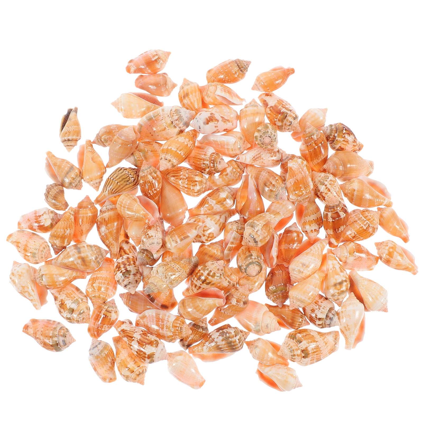 SOPOTUTU DIY Supplies 100pcs Conch Shells Assorted Colors for Art ...