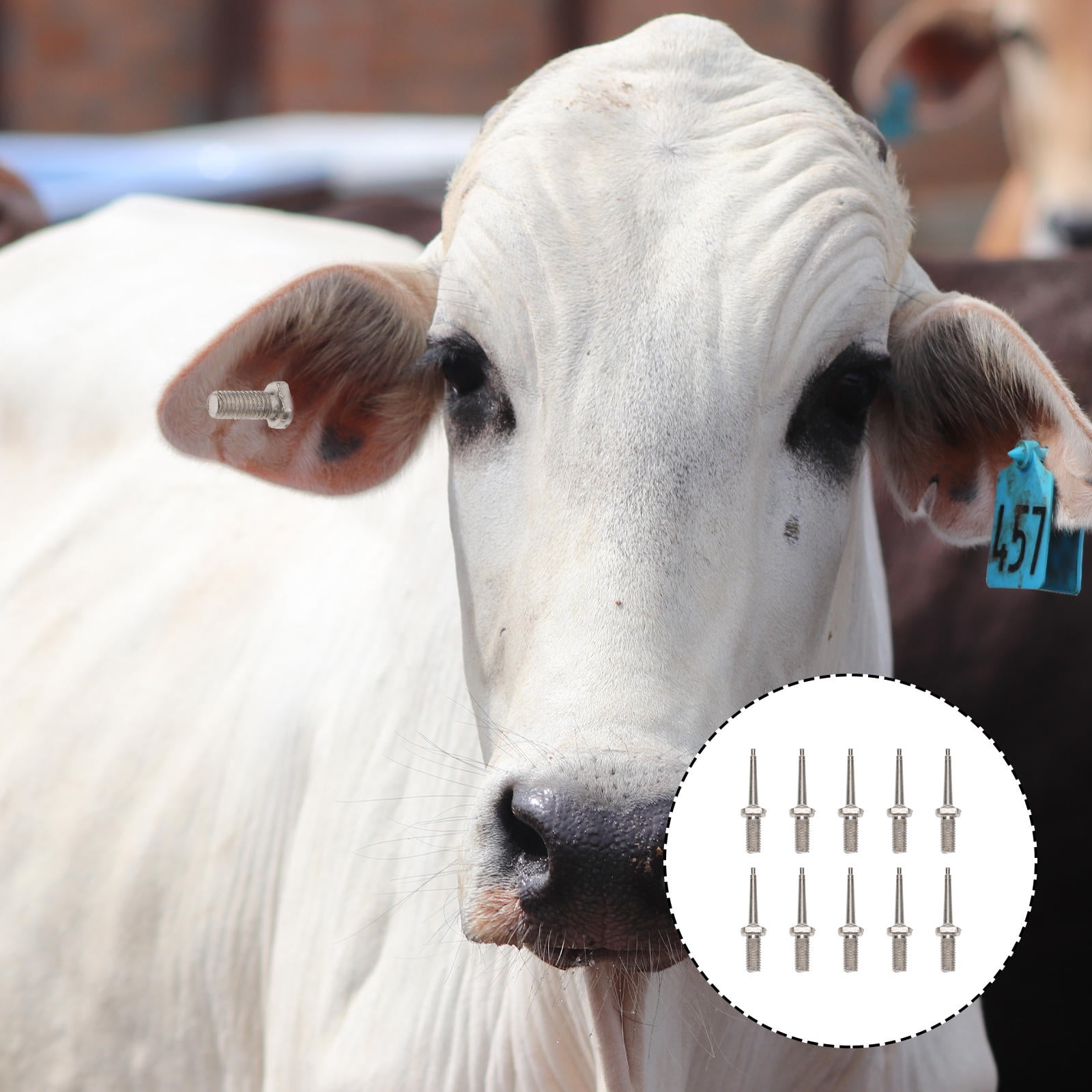 SOPOTUTU Sturdy Silver Ear Tag Needle for Cattle Not Easy to Break ...