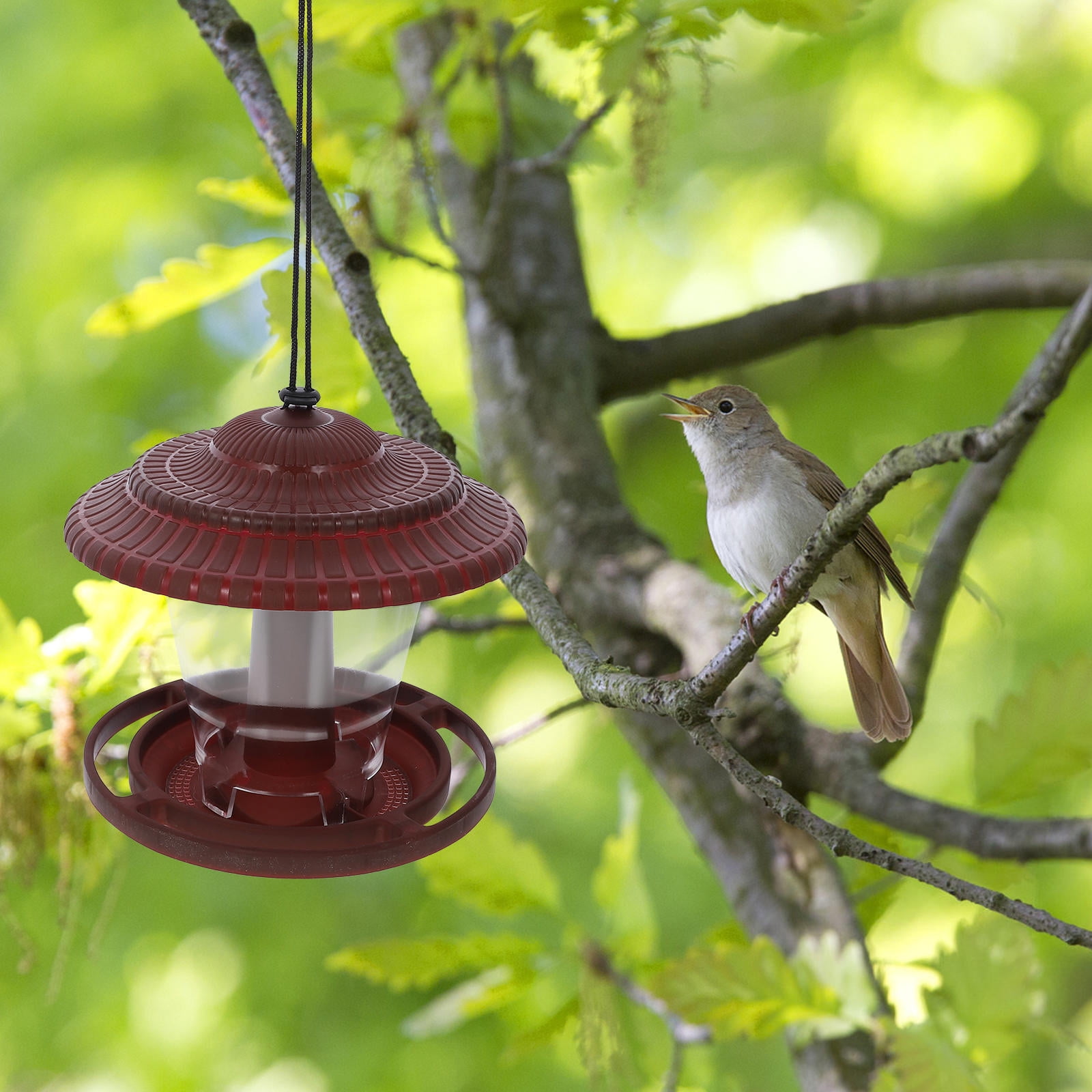 SOPOTUTU 1Set Brown Transparent PP Bird Feeder for Wild Birds in ...