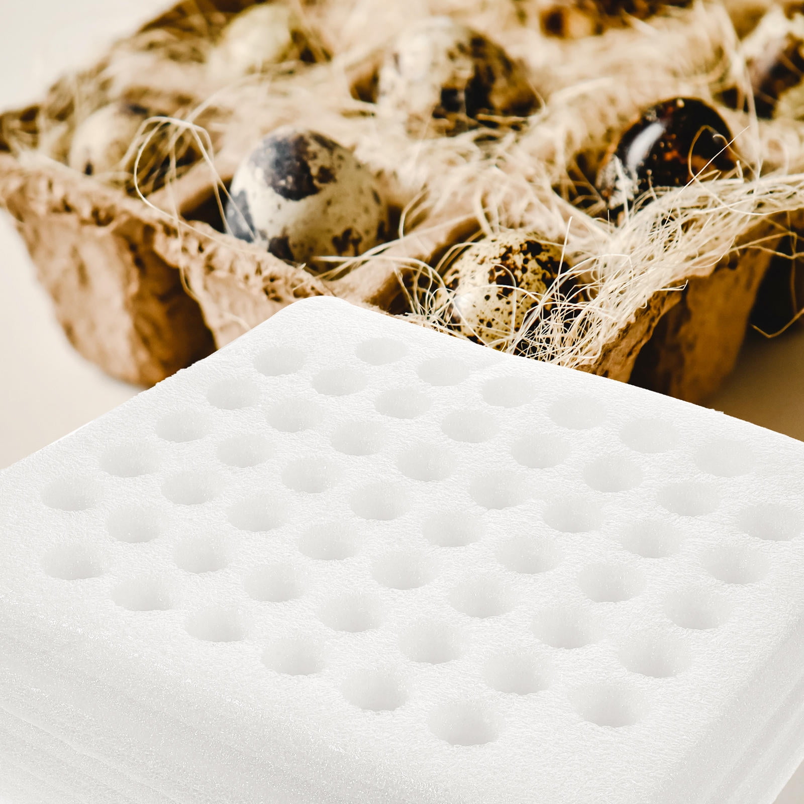 SOPOTUTU 2 Sets Quail Eggs Holder Foam Lined Storage Tray Pearl Wool ...
