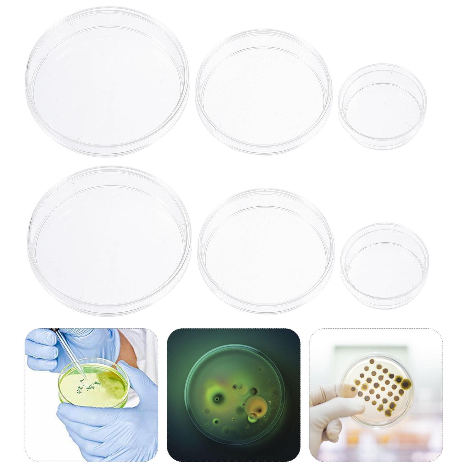 SOPOTUTU 30Pcs Round Plastic Petri Dishes for Tissue Culture in ...